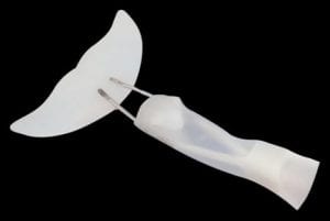 Winter the Dolphin - Clearwater Marine Aquarium