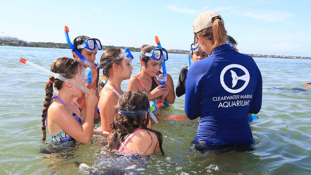 A Summer Camp Adventure for Every Child - Clearwater Marine Aquarium
