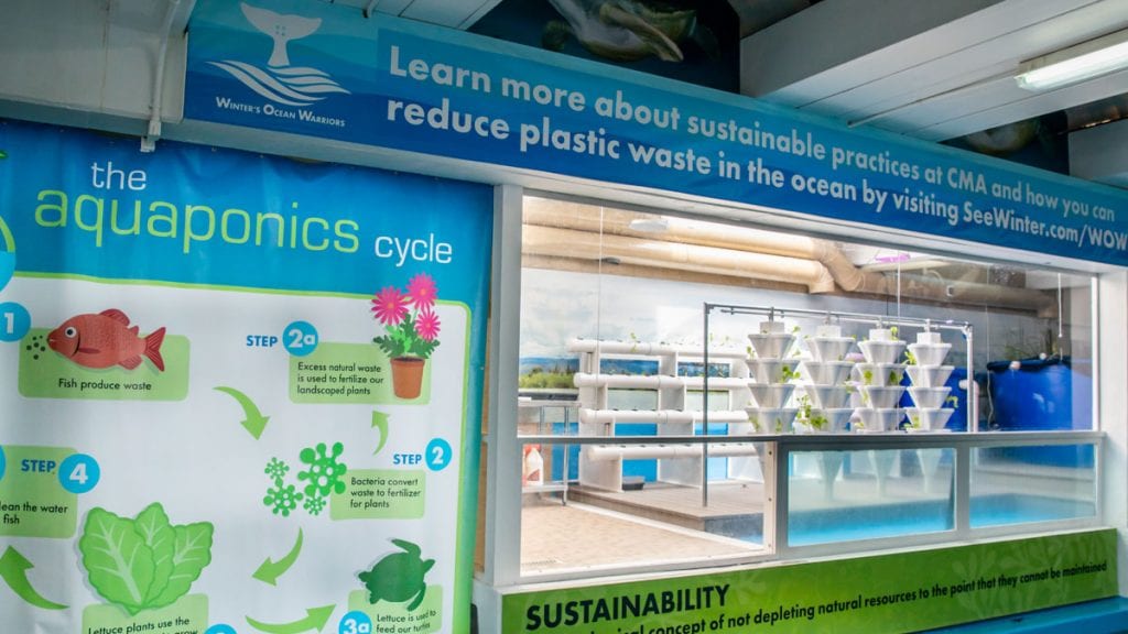 How the New Aquaponics Exhibit Helps Provide Sustainable Food for Sea ...