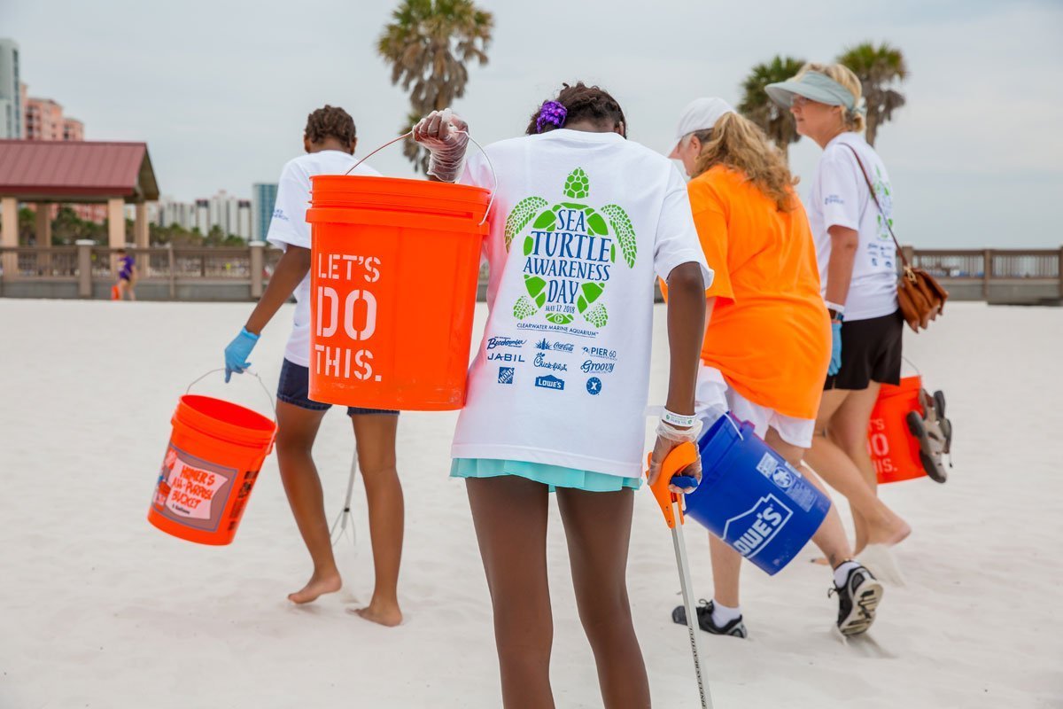 Sea Turtle Awareness Day | April 4, 2020 | Clearwater Marine Aquarium