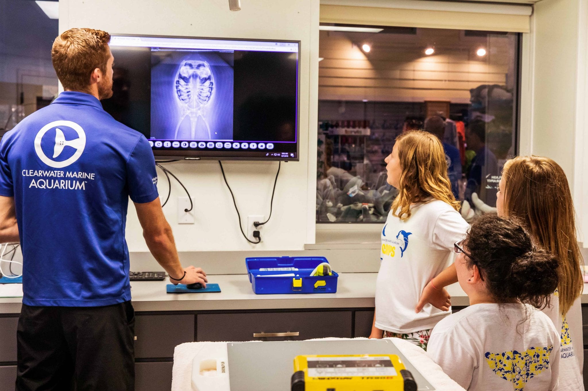Marine Science Summer Camps - Clearwater Marine Aquarium