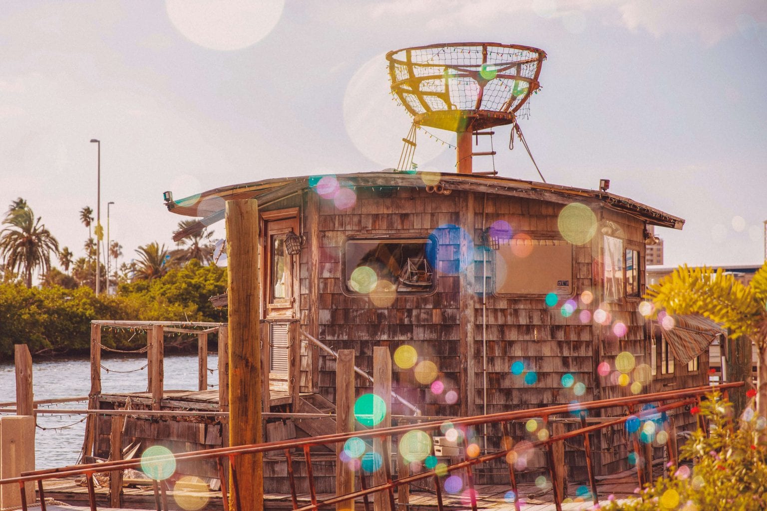 Dolphin Tale Set - Clearwater Marine Aquarium