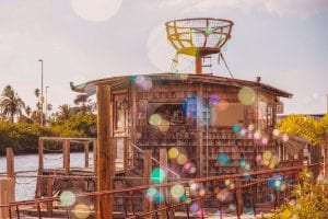 Dolphin Tale Set - Clearwater Marine Aquarium