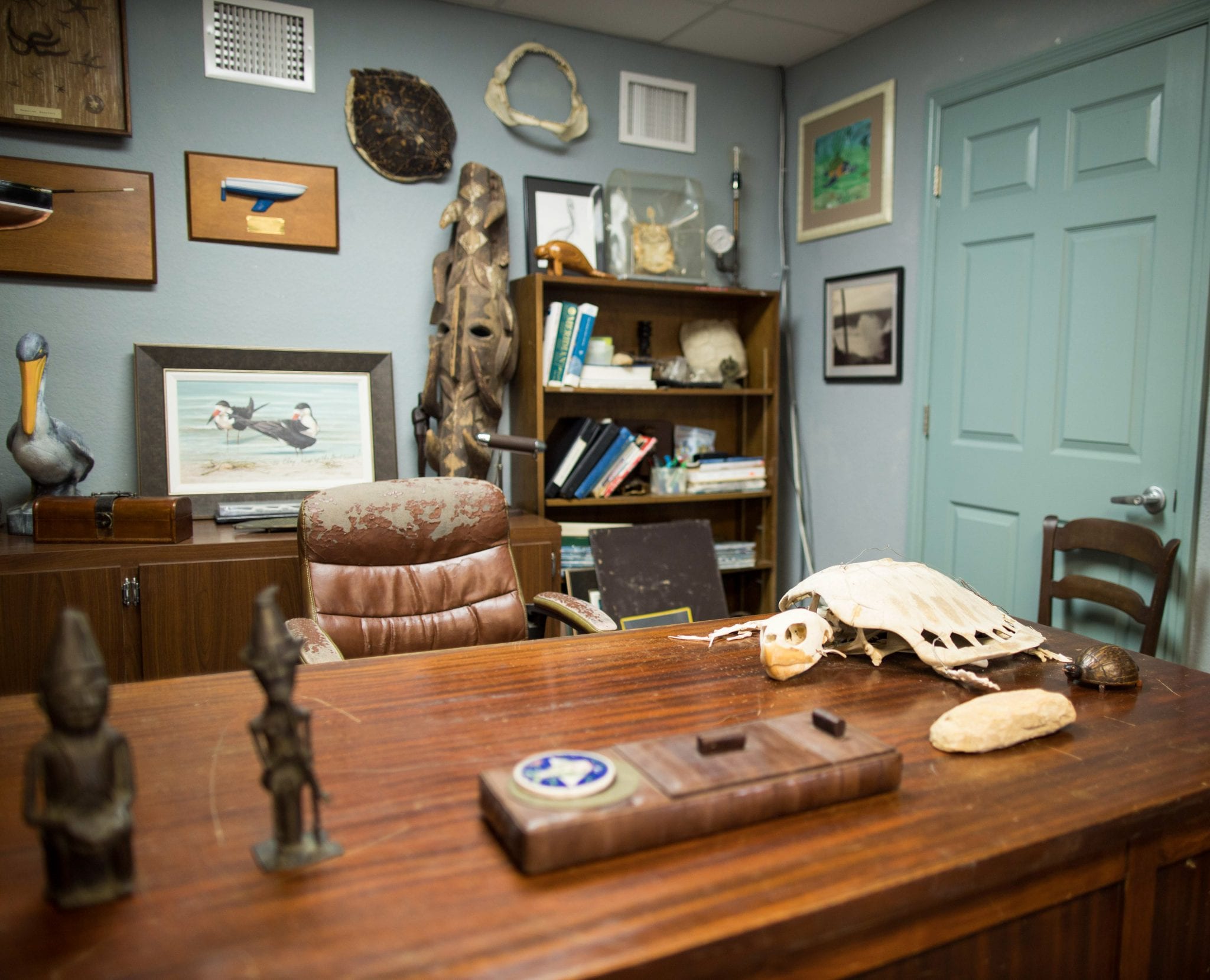 Dolphin Tale Set - Clearwater Marine Aquarium