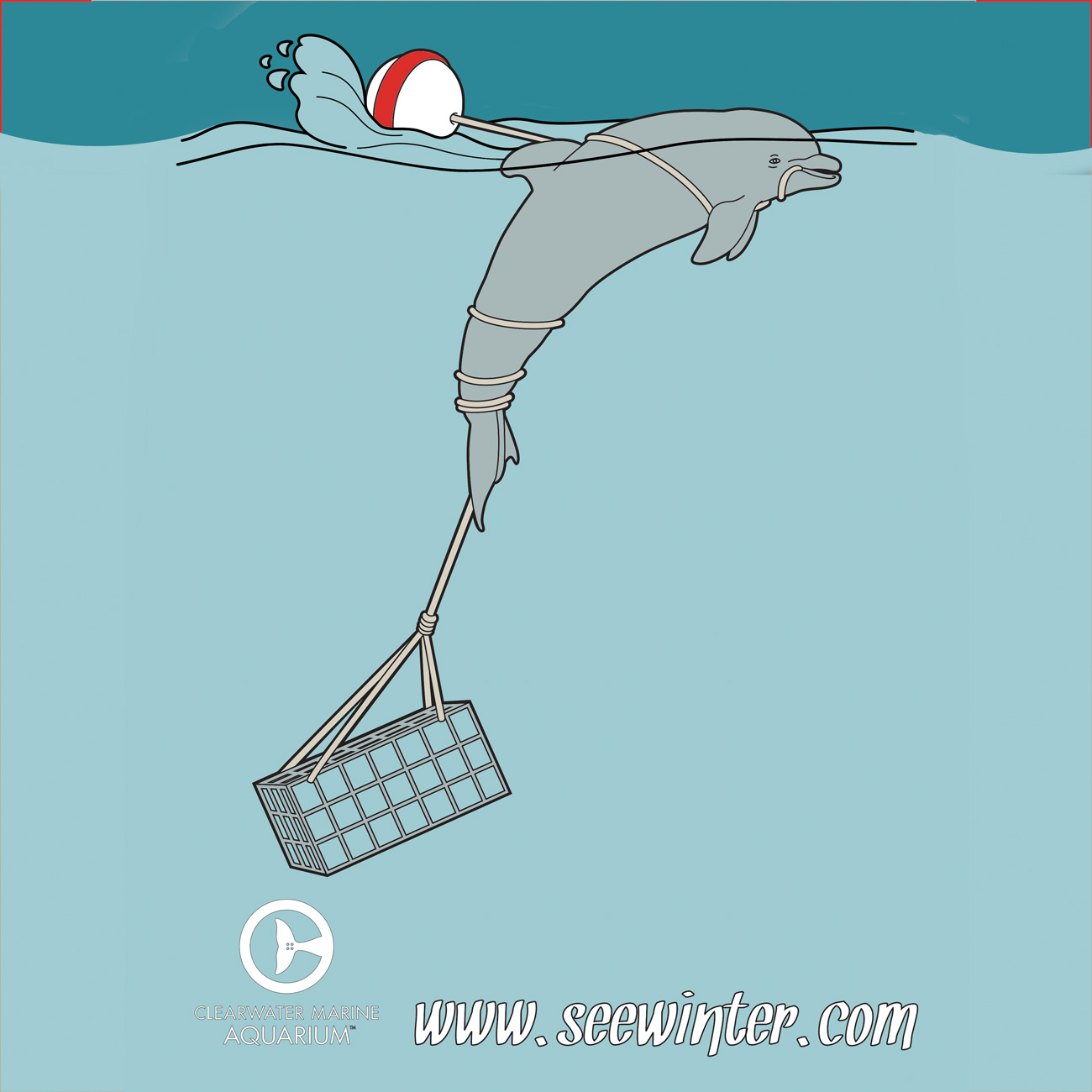 Experiments & Coloring - Clearwater Marine Aquarium