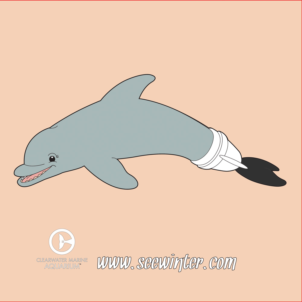Experiments & Coloring - Clearwater Marine Aquarium
