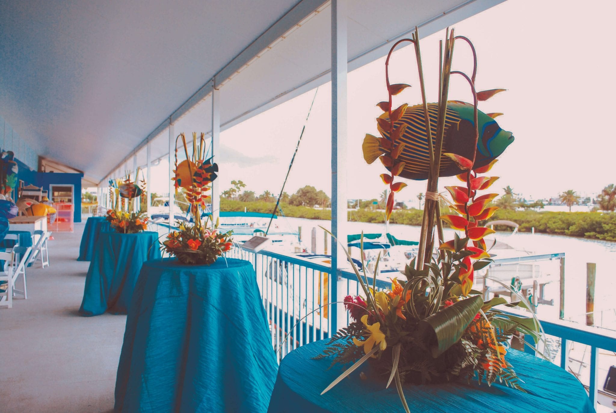 Event Space & Activities - Clearwater Marine Aquarium