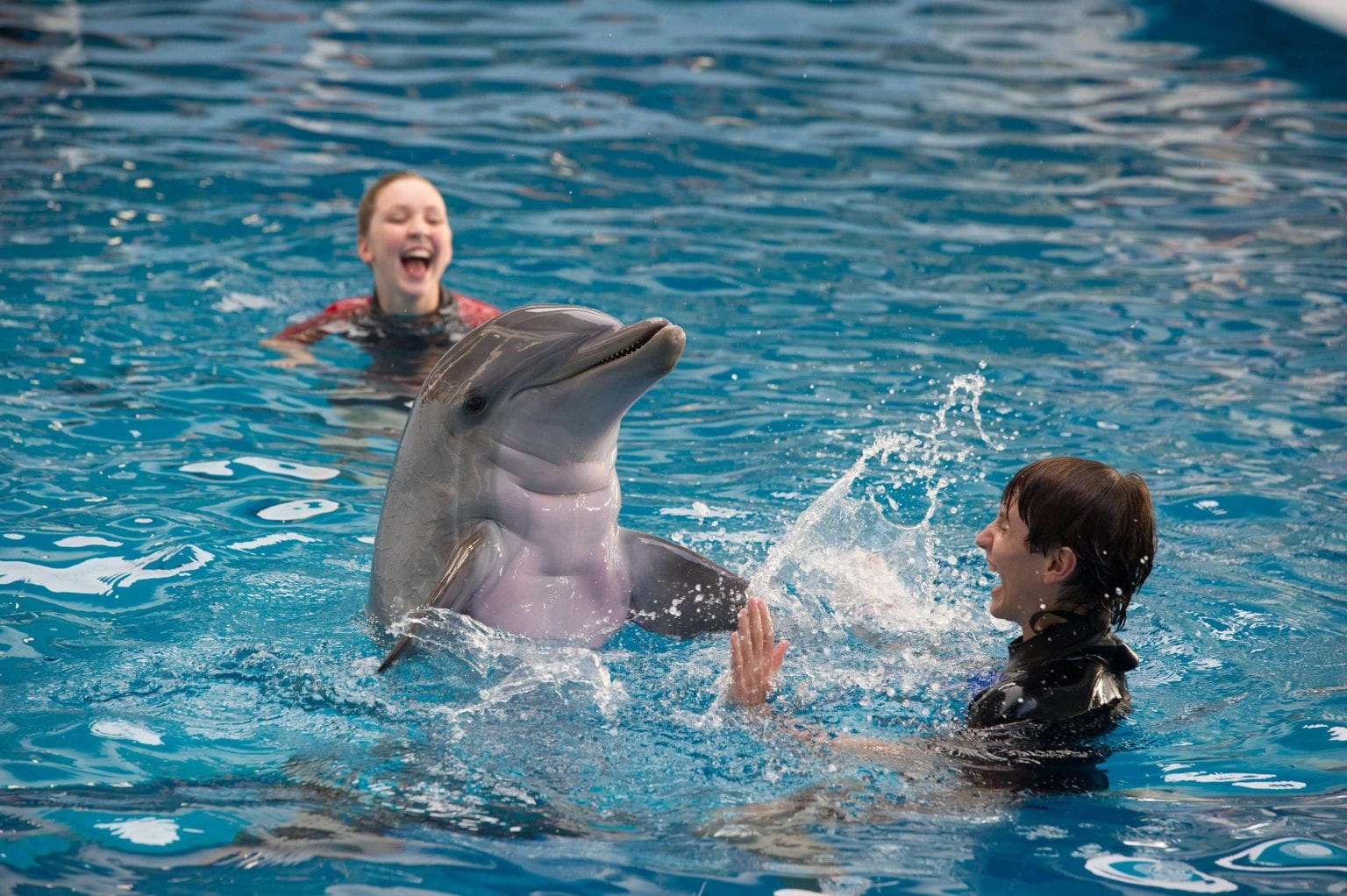 Dolphin Tale Set - Clearwater Marine Aquarium