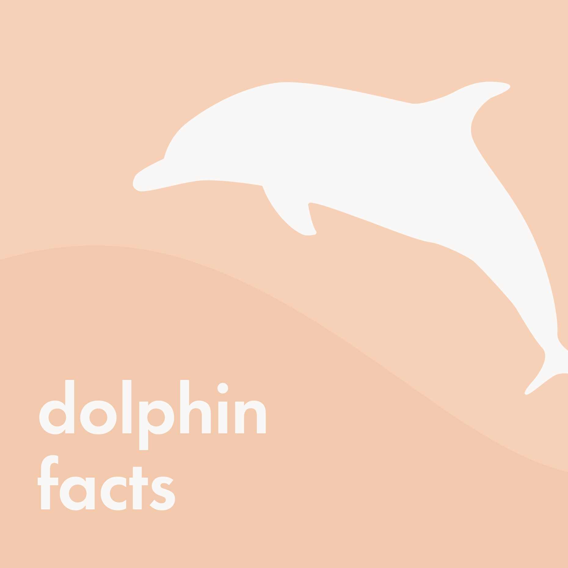 Games - Clearwater Marine Aquarium