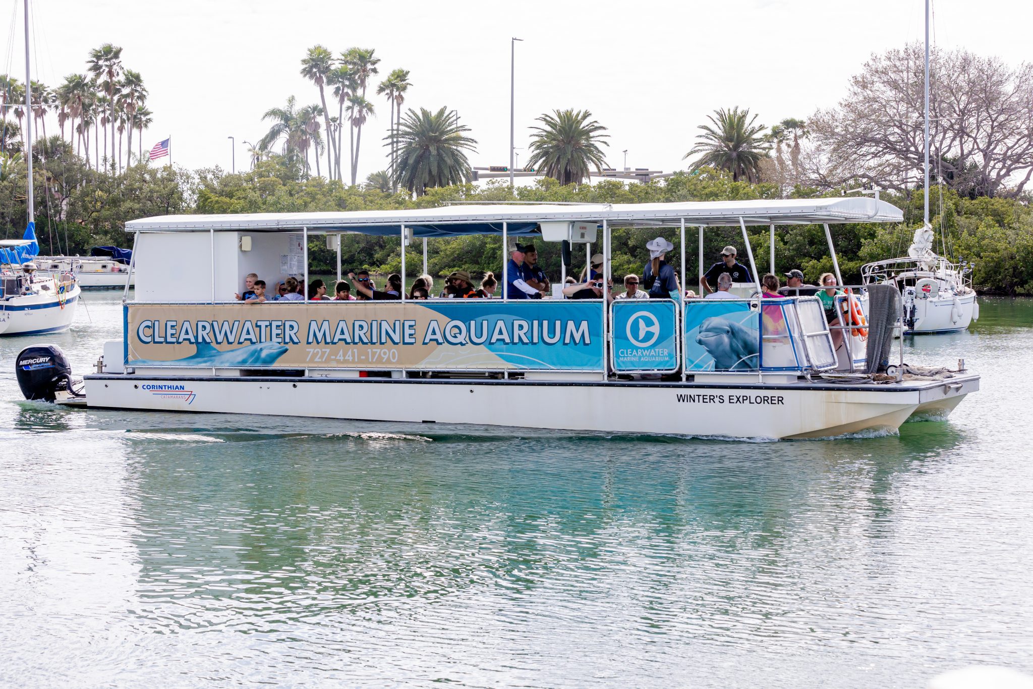 Dolphin & Wildlife Boat Tour - Clearwater Marine Aquarium