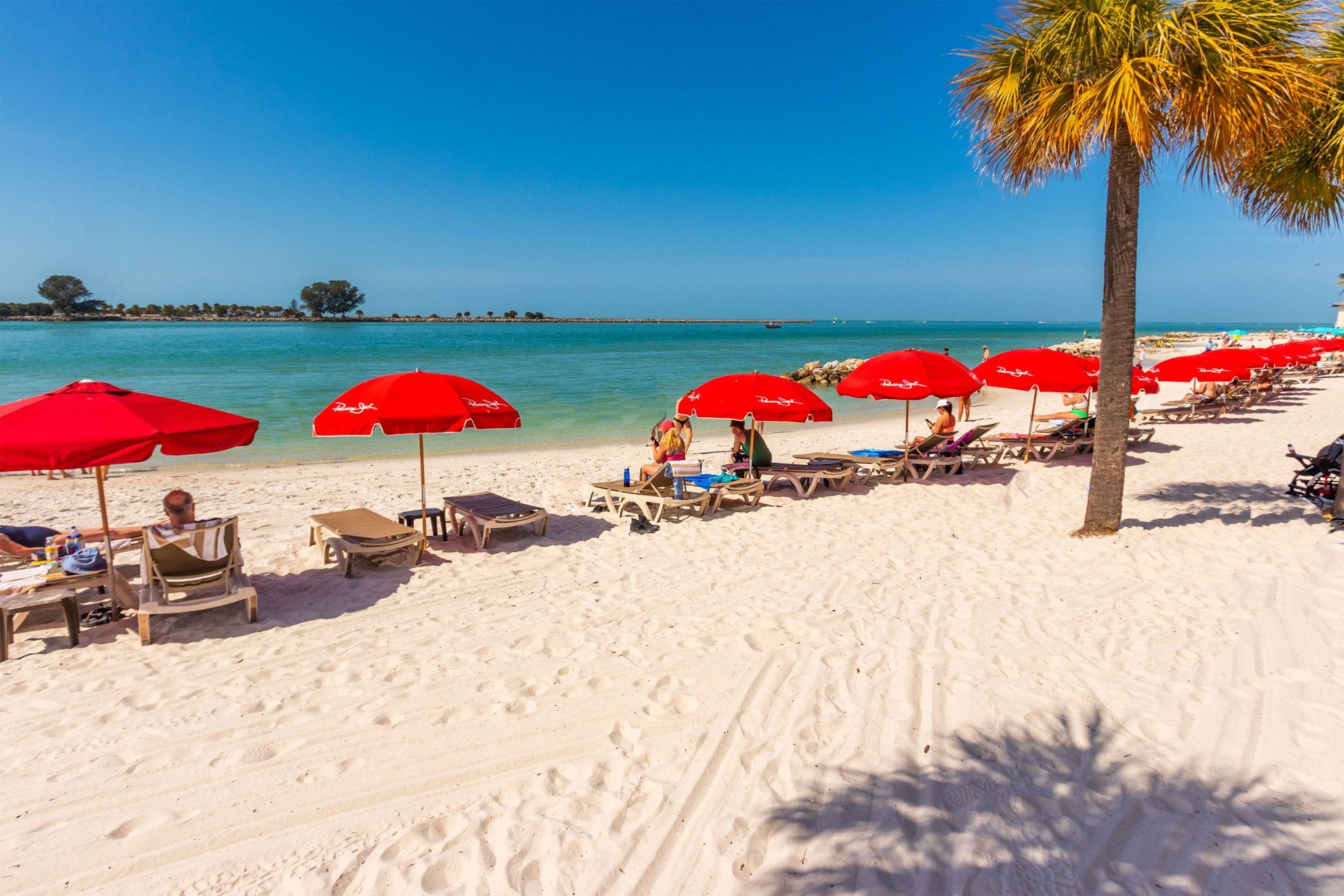 Dolphin Sands Clearwater Beach - Clearwater Marine Aquarium