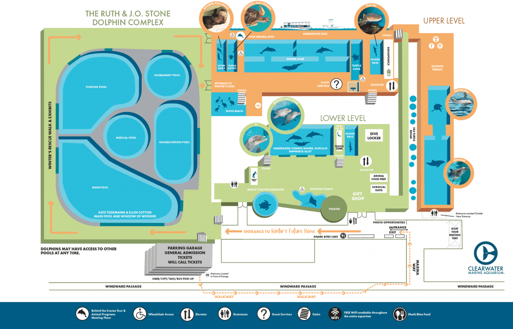 Atlantis Theater - Clearwater Marine Aquarium