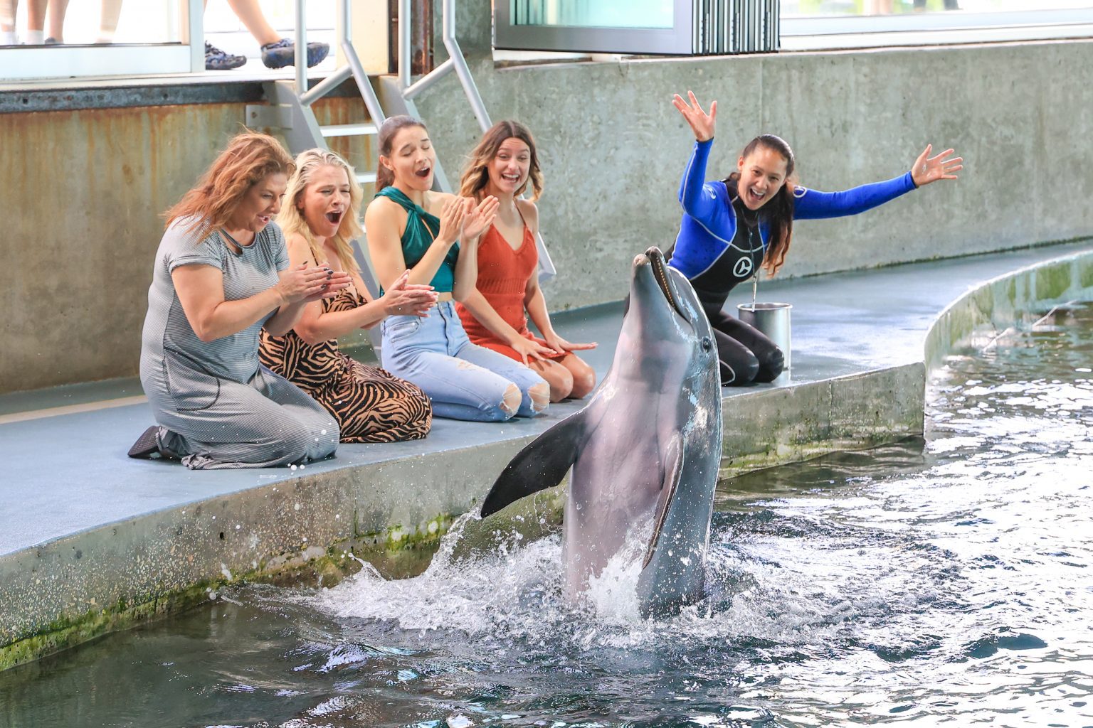 Clearwater Marine Aquarium | Florida's Marine Life Rescue Center
