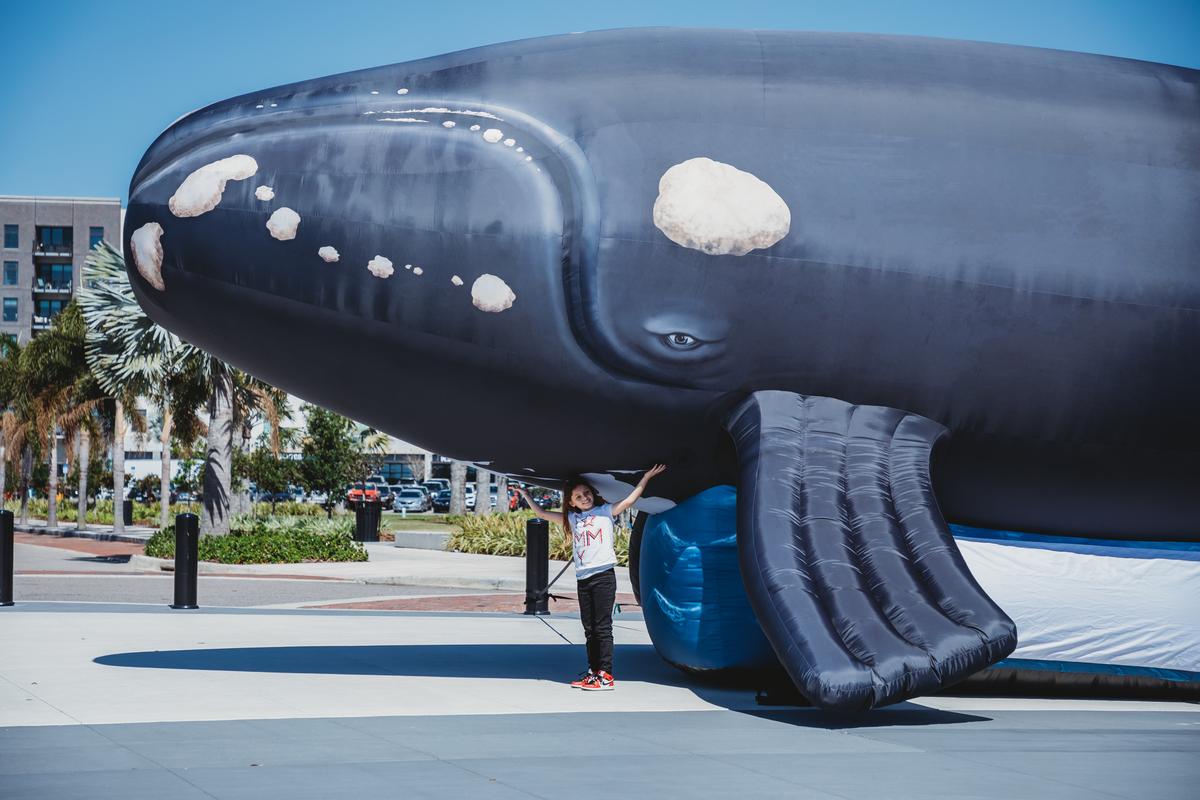 Whales: Living With Giants - Clearwater Marine Aquarium