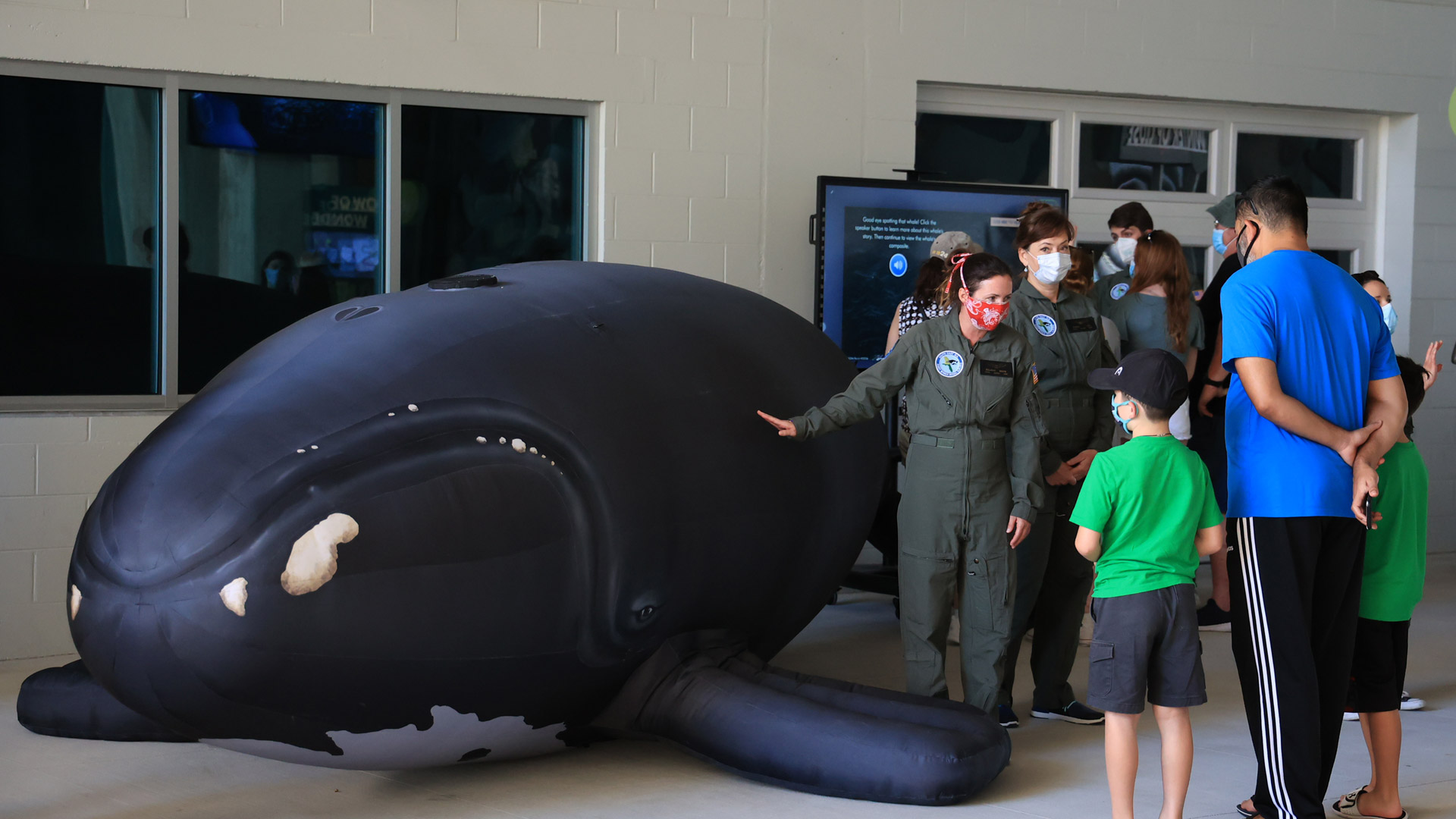 Meet the Whale Researchers - Clearwater Marine Aquarium