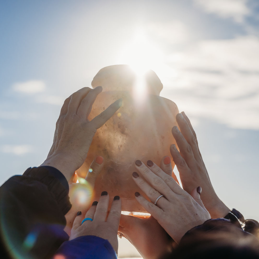 Remembering Winter the Dolphin - Clearwater Marine Aquarium
