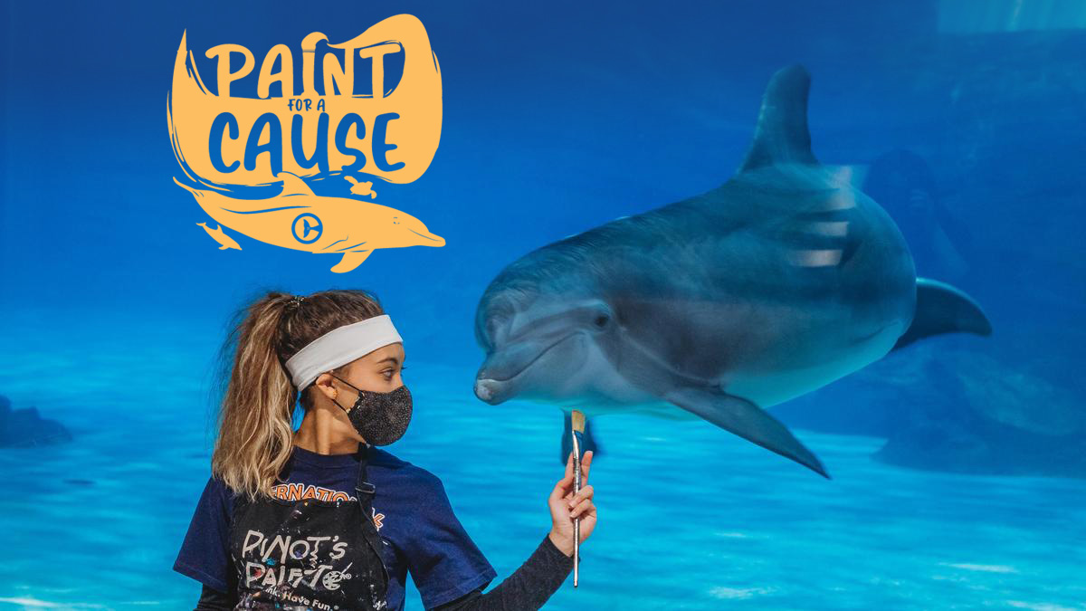 Paint for a Cause - Clearwater Marine Aquarium