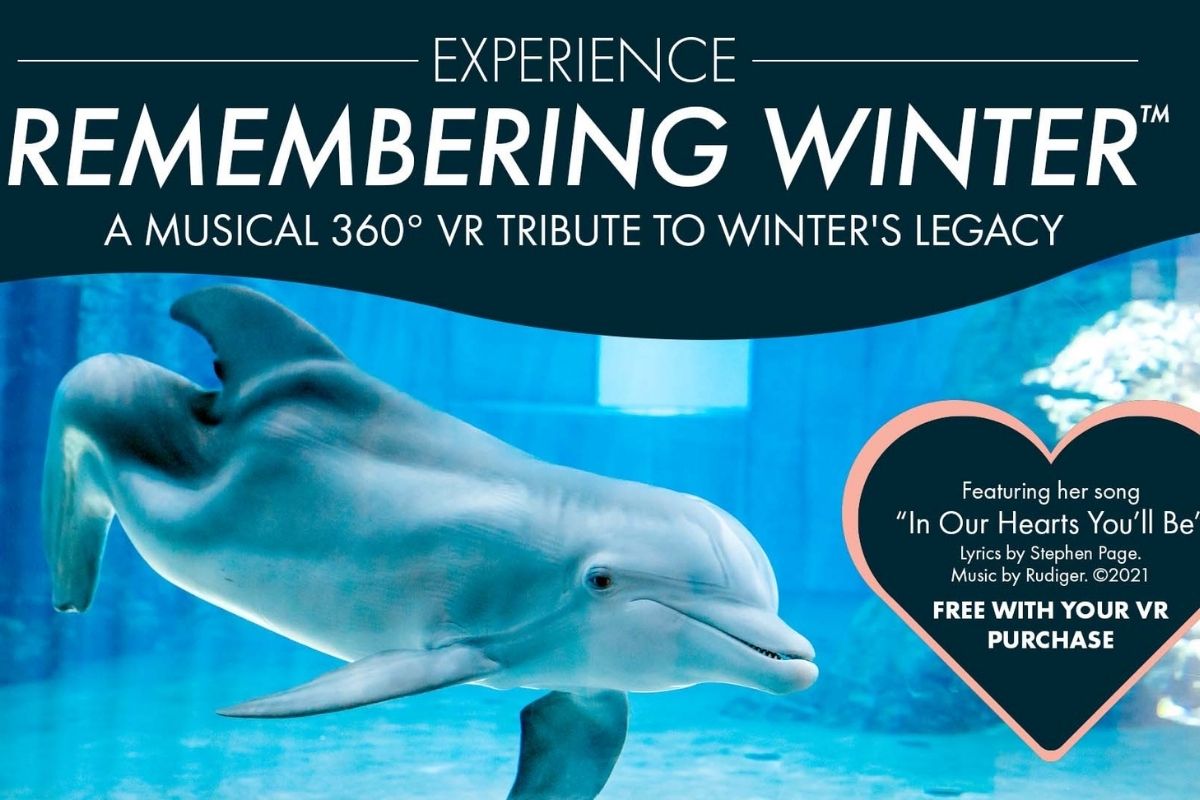 Ultimate Virtual Reality Experience - Clearwater Marine Aquarium