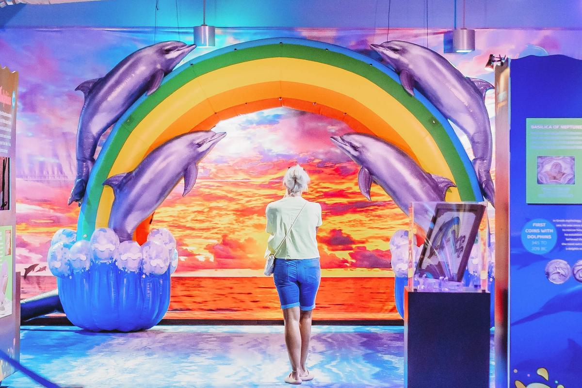 Clearwater Marine Aquarium | Florida's Marine Life Rescue Center