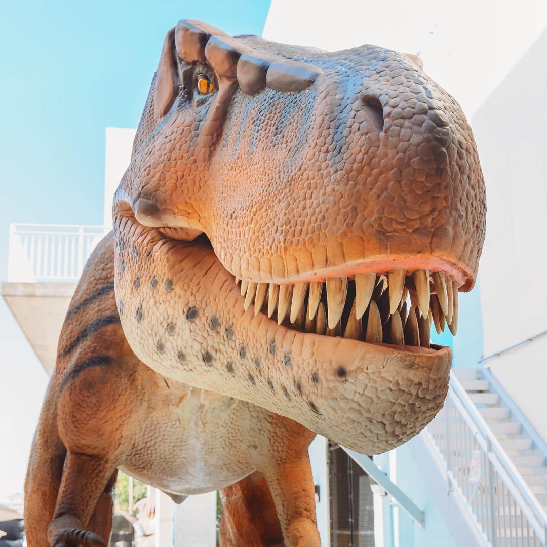 Dino Rescue Safari Tour - Clearwater Marine Aquarium