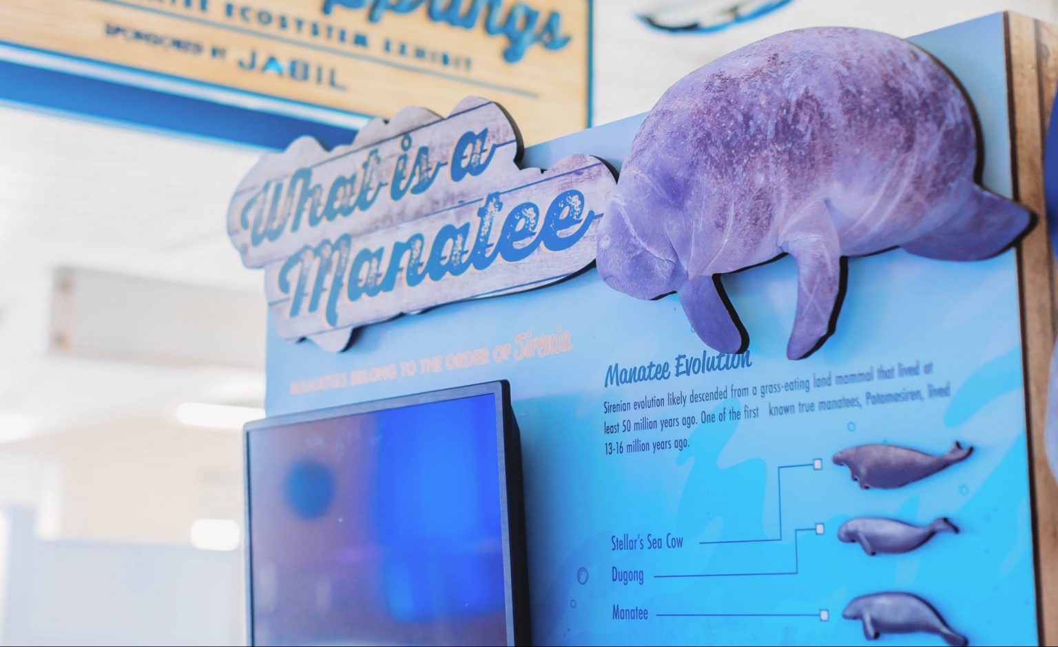 Manatee Ecosystem Exhibit - Clearwater Marine Aquarium