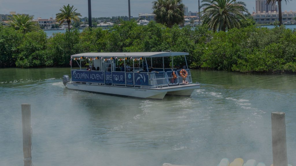 Dolphin & Wildlife Boat Tour: Spooky Edition - Clearwater Marine Aquarium