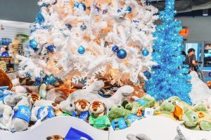 Sea of Holiday Joy - Clearwater Marine Aquarium