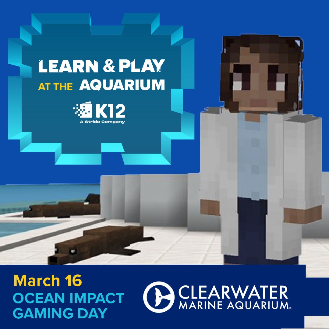 Ocean Impact Gaming Day - Clearwater Marine Aquarium