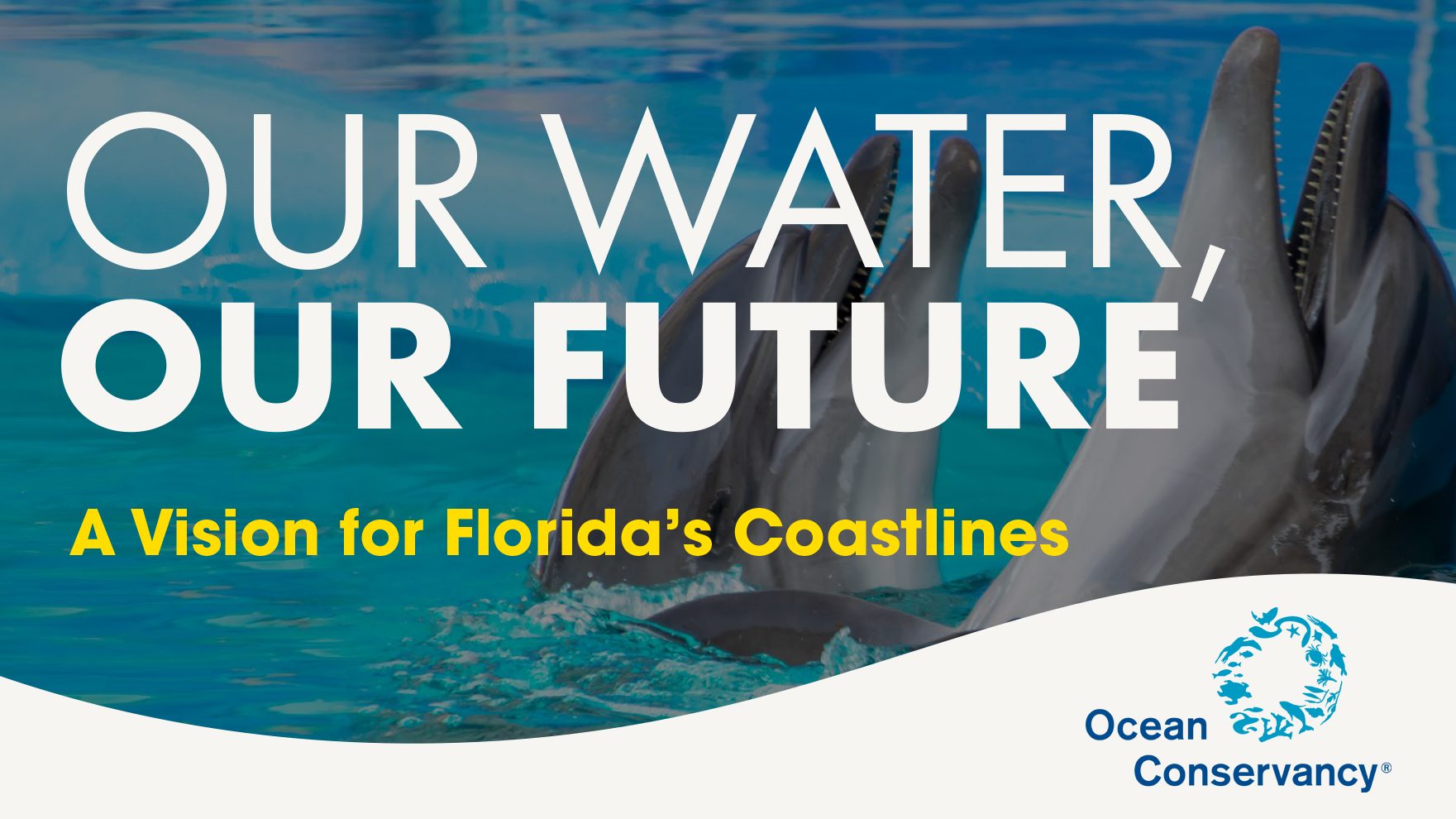 World Ocean Day at Clearwater Marine Aquarium - Clearwater Marine Aquarium