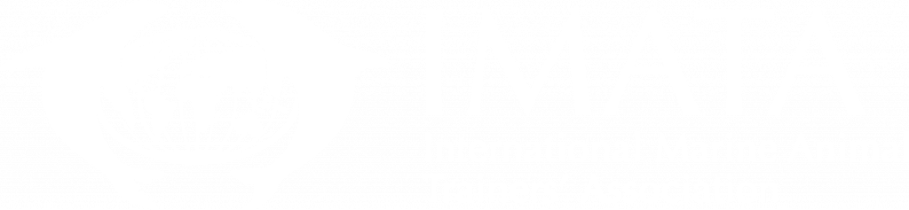 Stone Dolphin Complex Webcam - Pool 1West - Clearwater Marine Aquarium