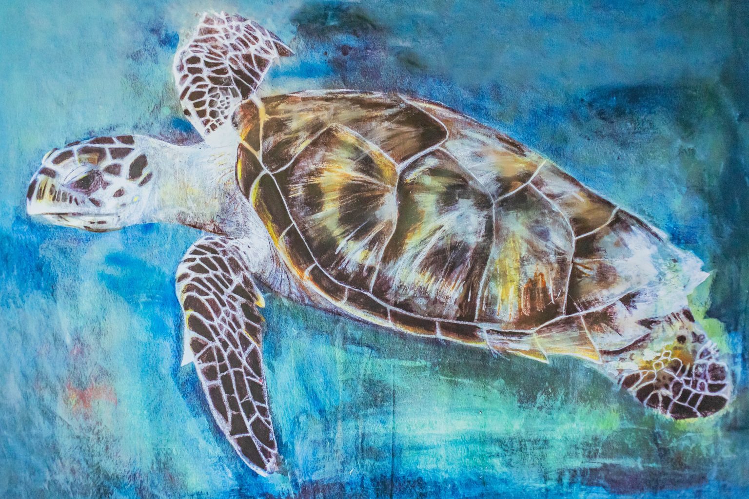 ArtSEA Conservation - Clearwater Marine Aquarium