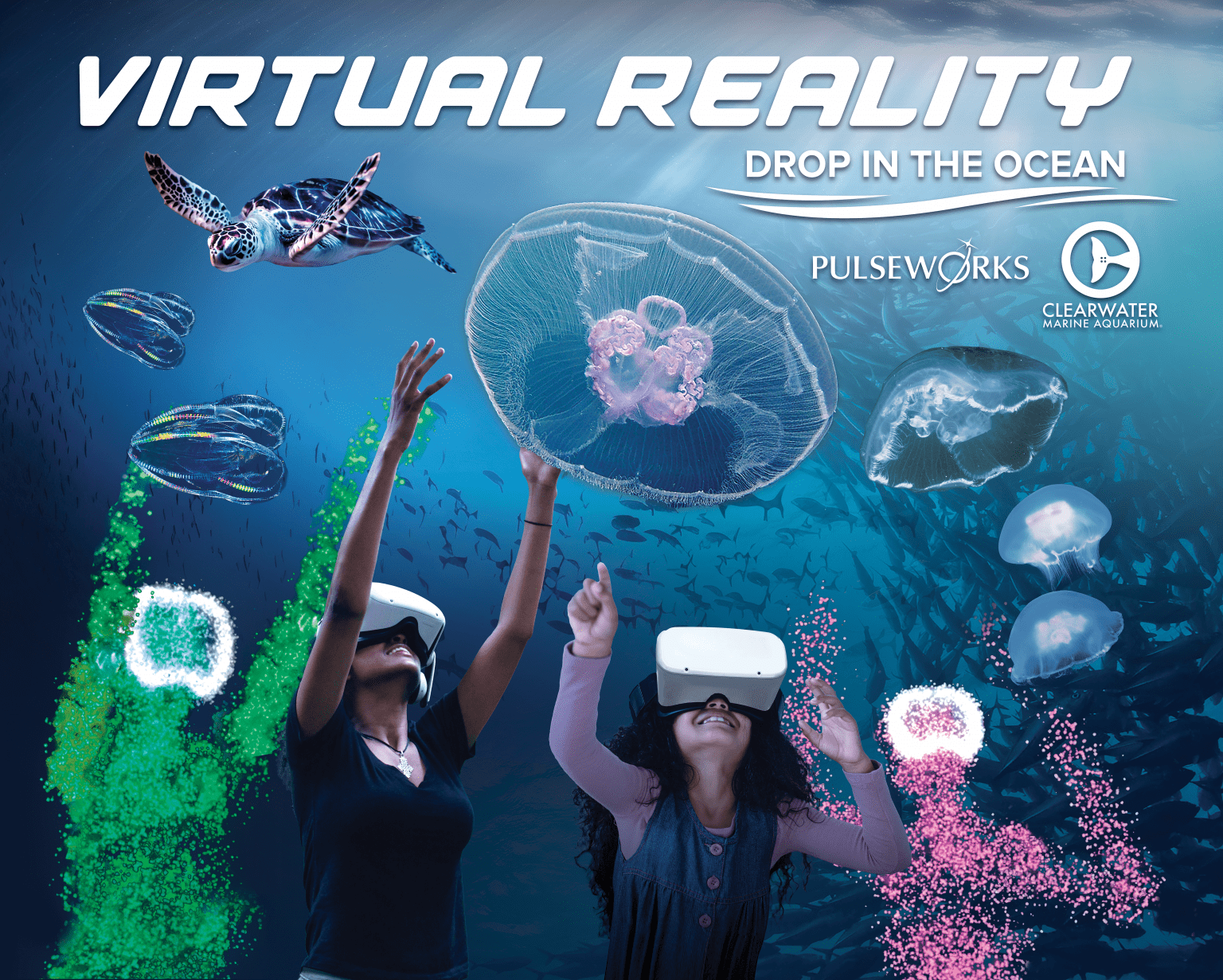 Virtual Reality Experience - Clearwater Marine Aquarium