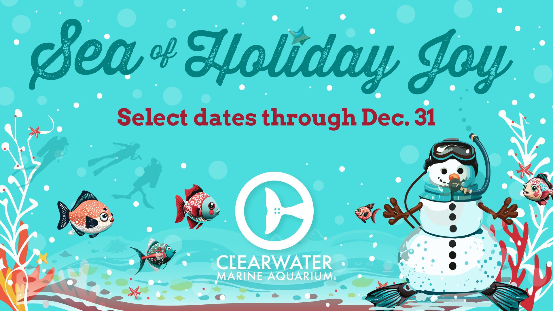 Sea of Holiday Joy - Clearwater Marine Aquarium