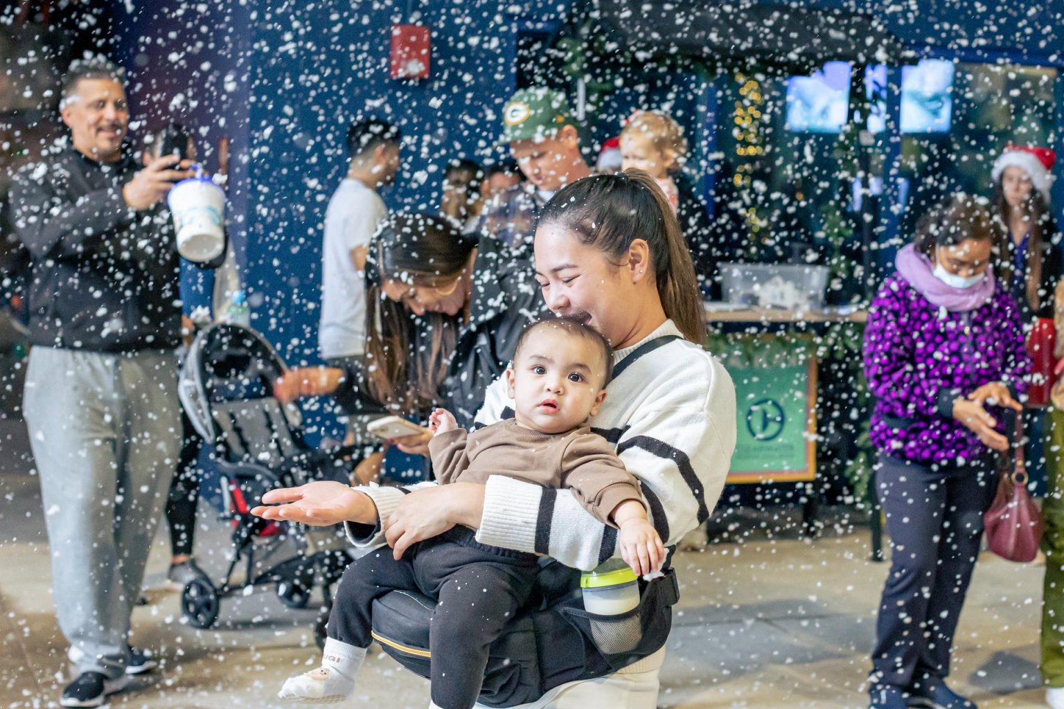 Sea of Holiday Joy - Clearwater Marine Aquarium