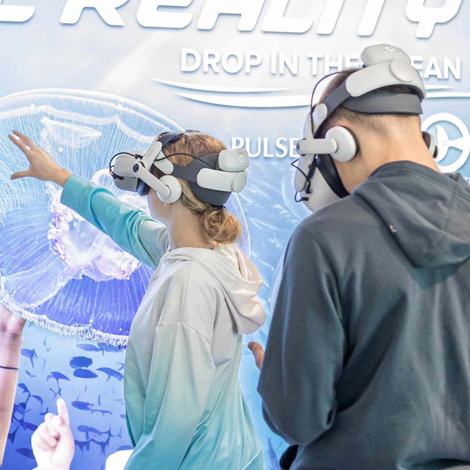 Clearwater Marine Aquarium | Florida's Marine Life Rescue Center