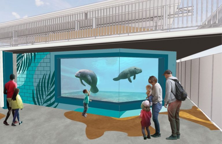 Dr. James "Buddy" Powell Manatee Rehabilitation Center - Clearwater ...