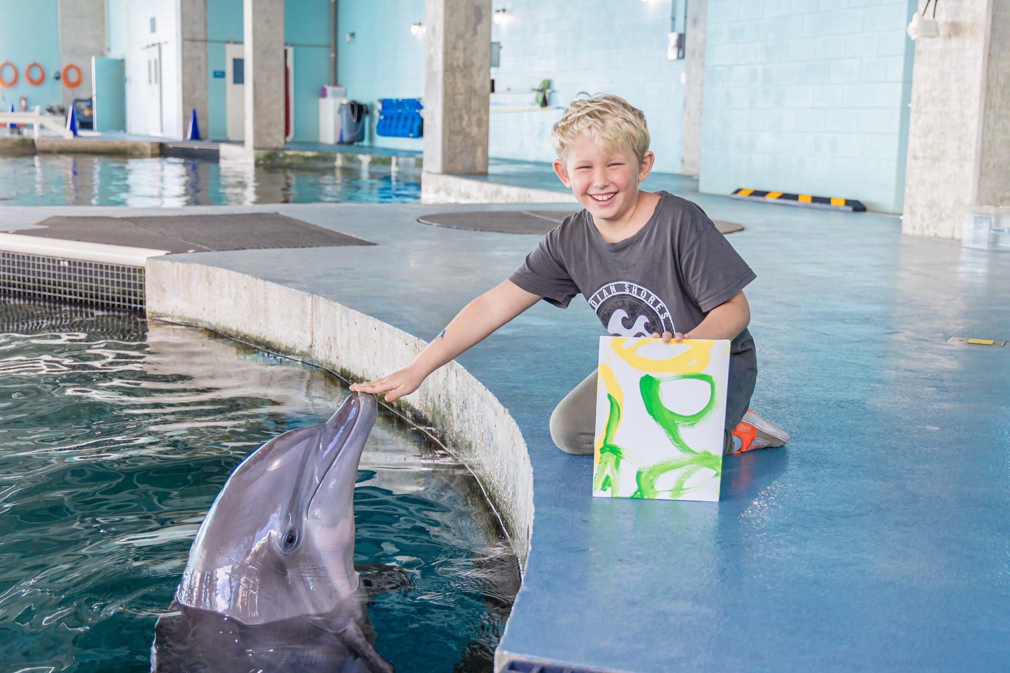 Clearwater Marine Aquarium | Florida's Marine Life Rescue Center