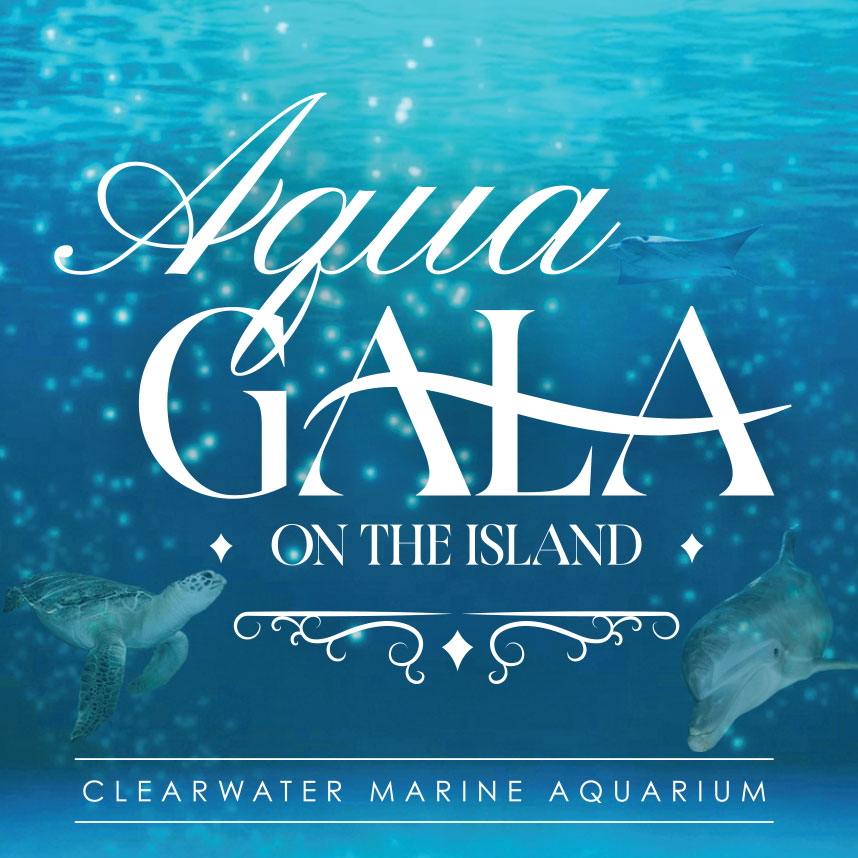 AquaGala - Clearwater Marine Aquarium