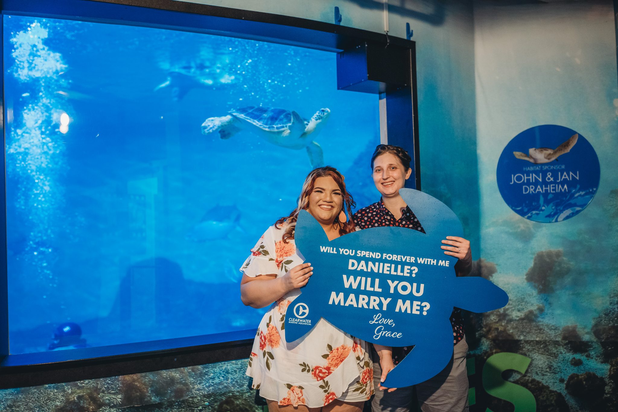 Weddings & Engagements - Clearwater Marine Aquarium