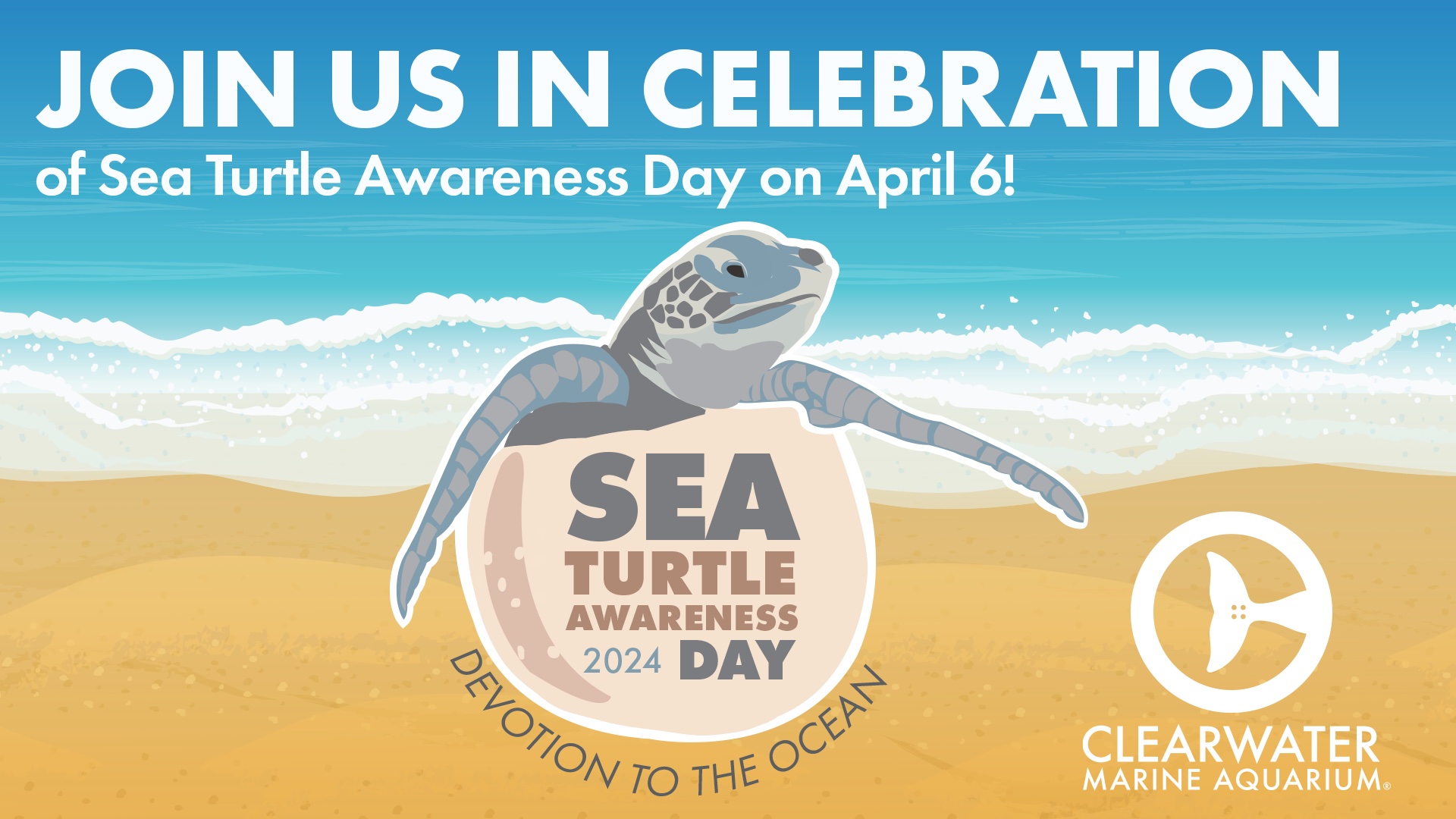 Sea Turtle Awareness Day 2024 - Clearwater Marine Aquarium