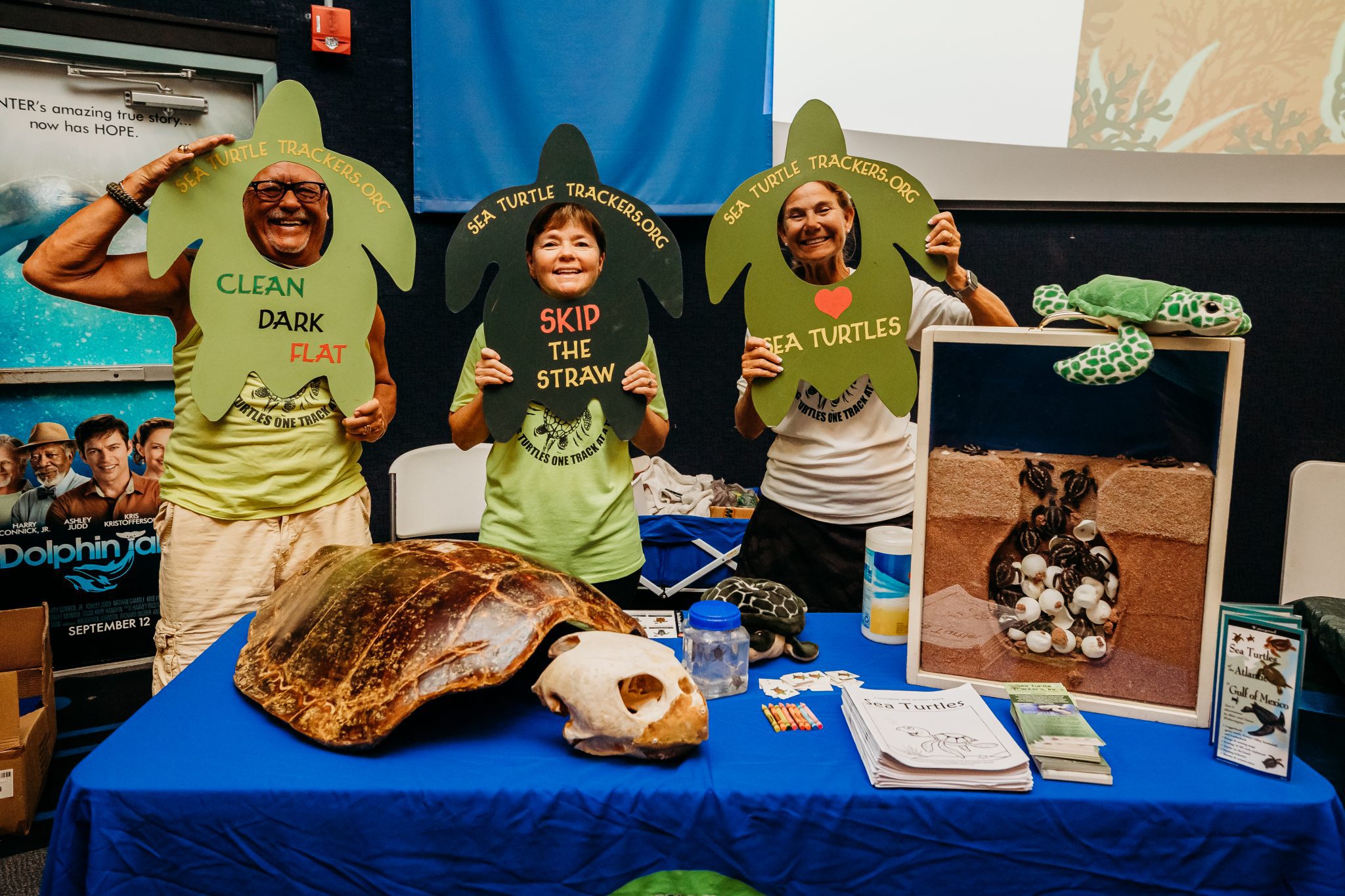 Sea Turtle Awareness Day 2025 - Clearwater Marine Aquarium