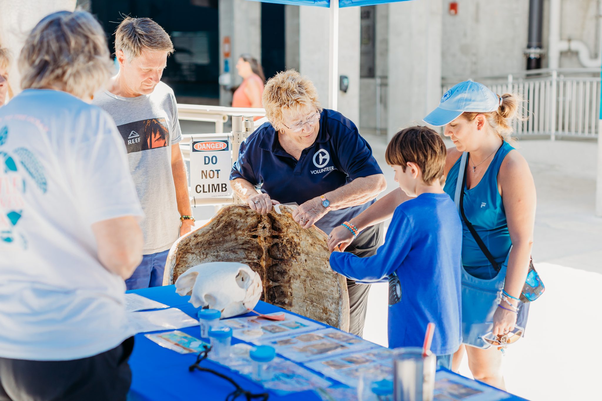 Sea Turtle Awareness Day 2025 - Clearwater Marine Aquarium