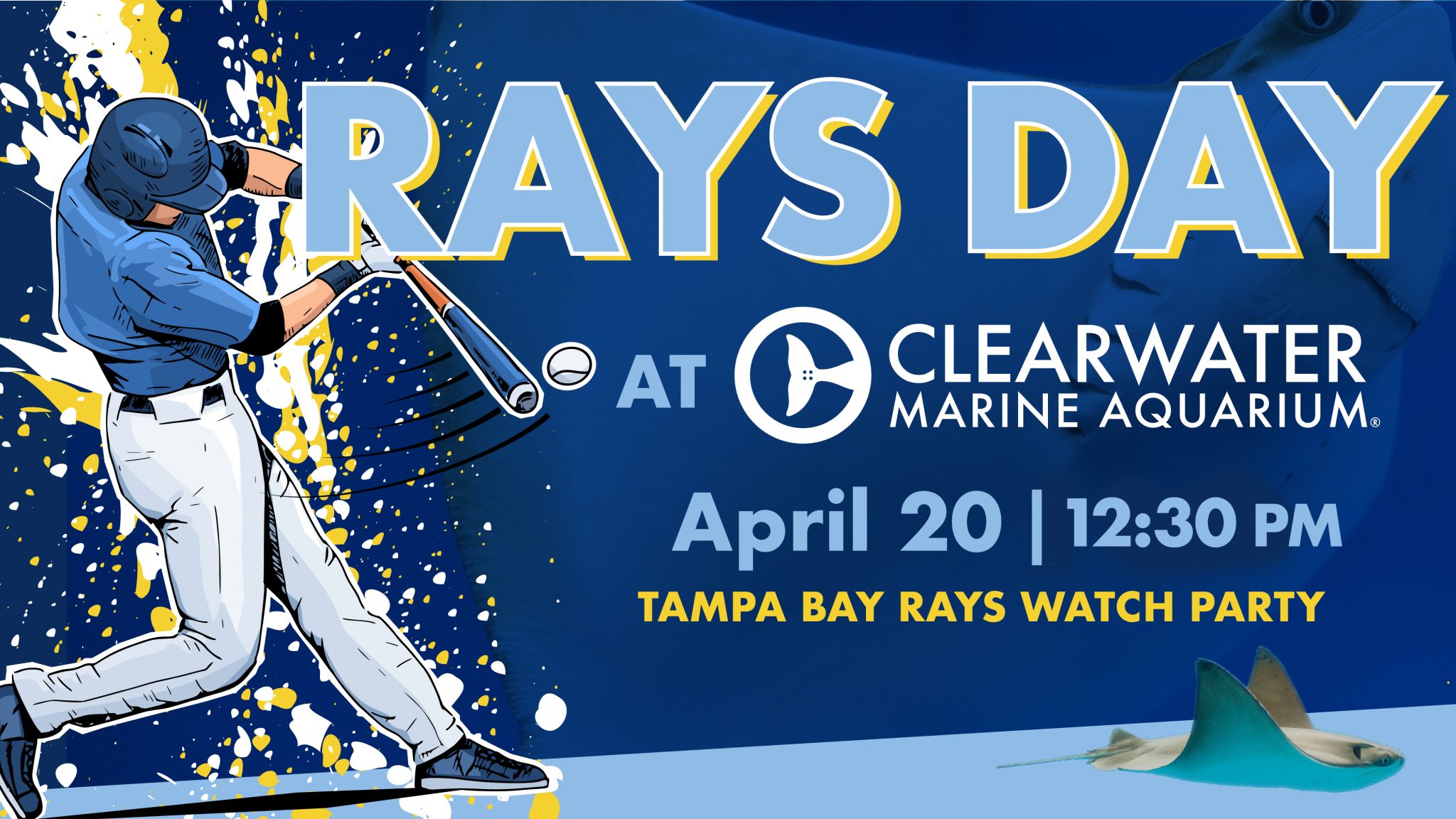 Rays Day at CMA - Clearwater Marine Aquarium
