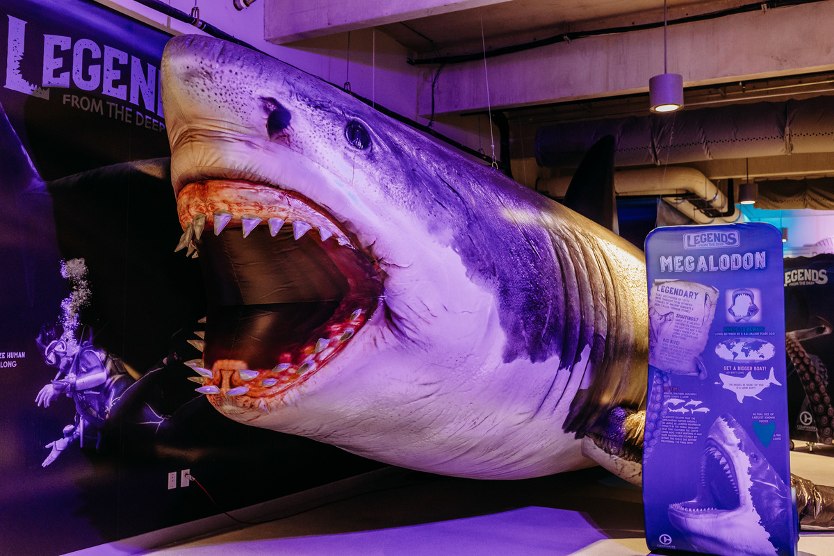 Shark & Ray Awareness Week at CMA - Clearwater Marine Aquarium