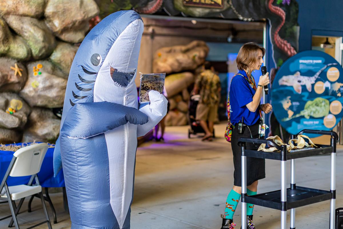 Shark & Ray Awareness Week at CMA - Clearwater Marine Aquarium