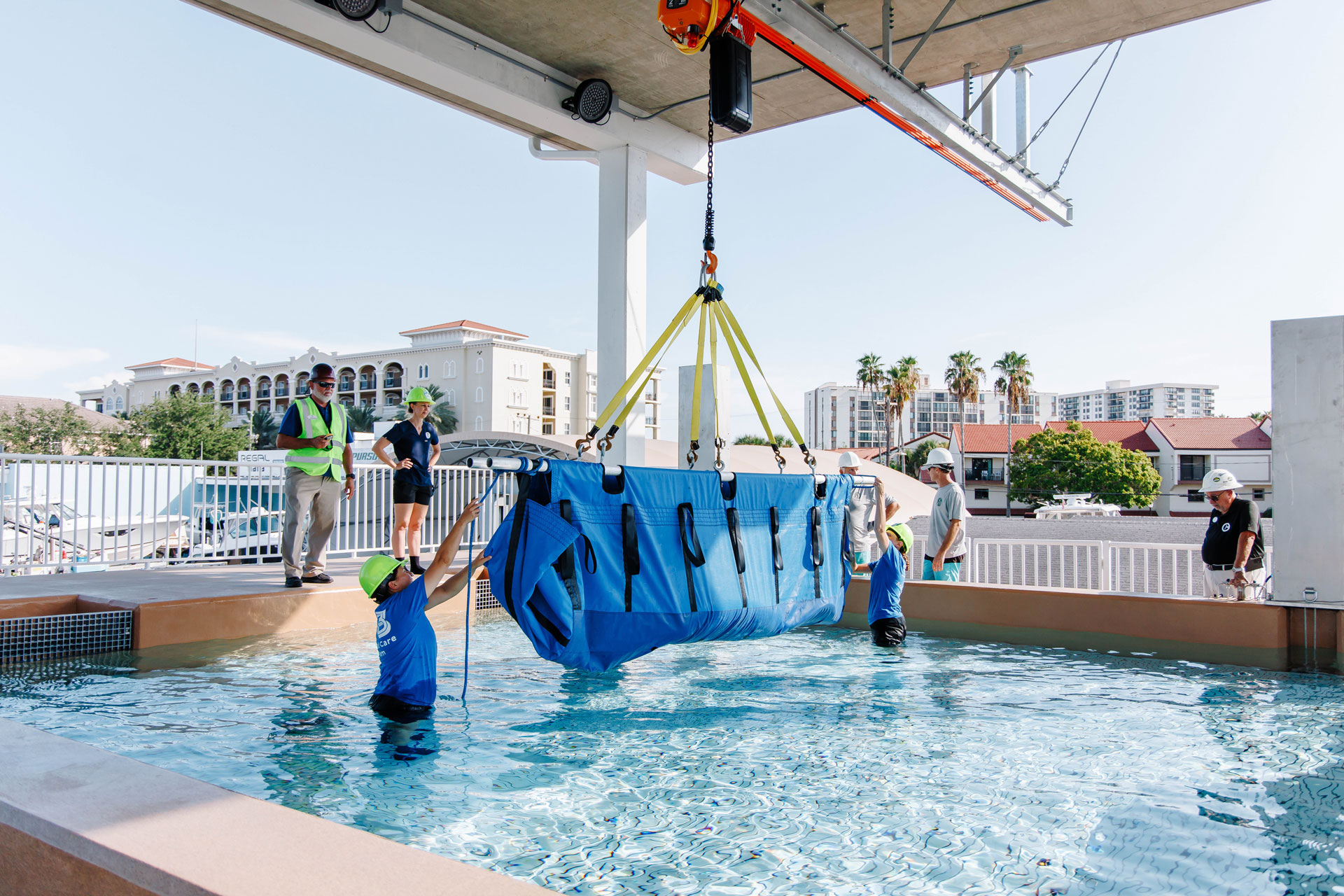 Meet Rescued Animals - Clearwater Marine Aquarium