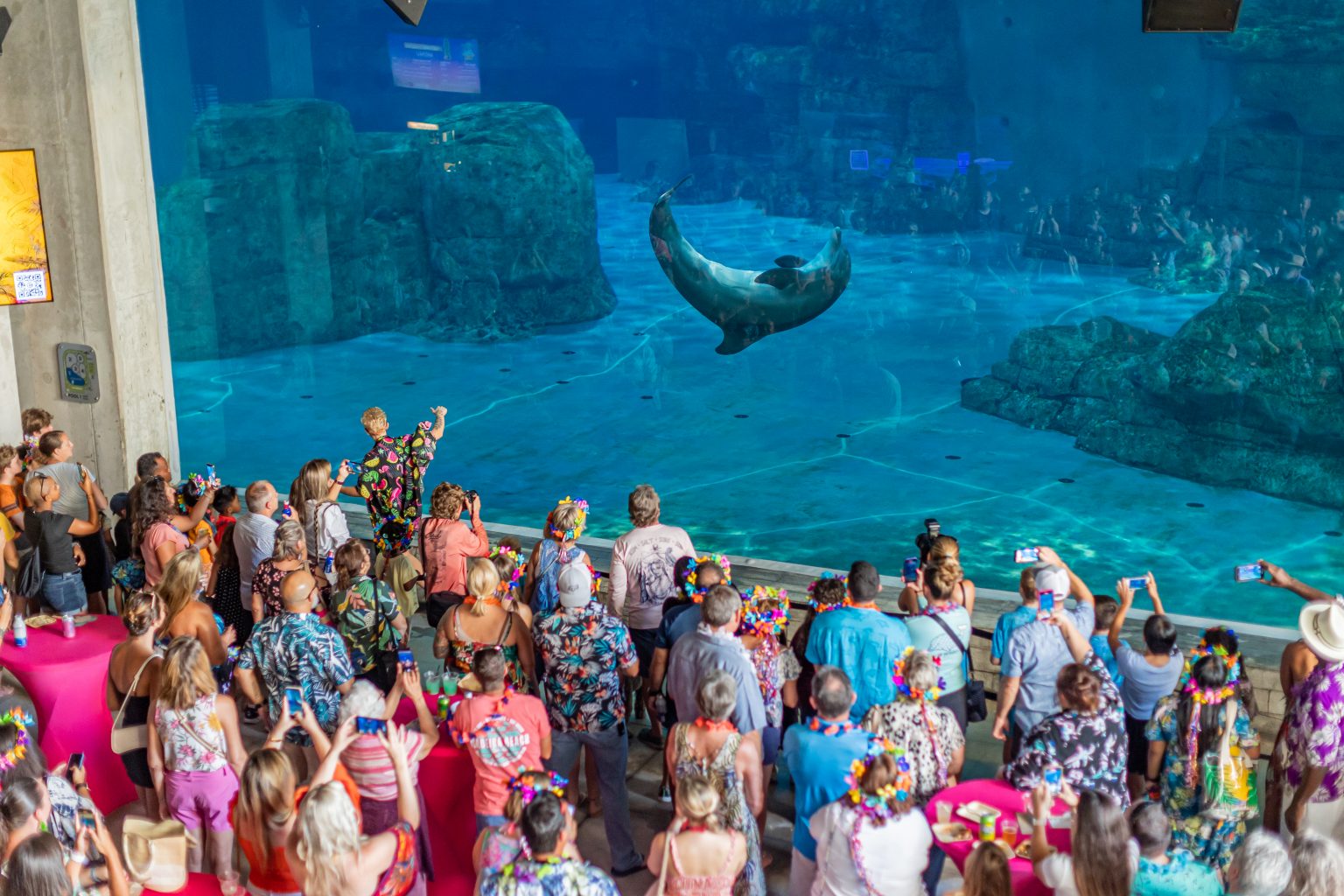 Host an Event | Weddings and Parties | Clearwater Marine Aquarium