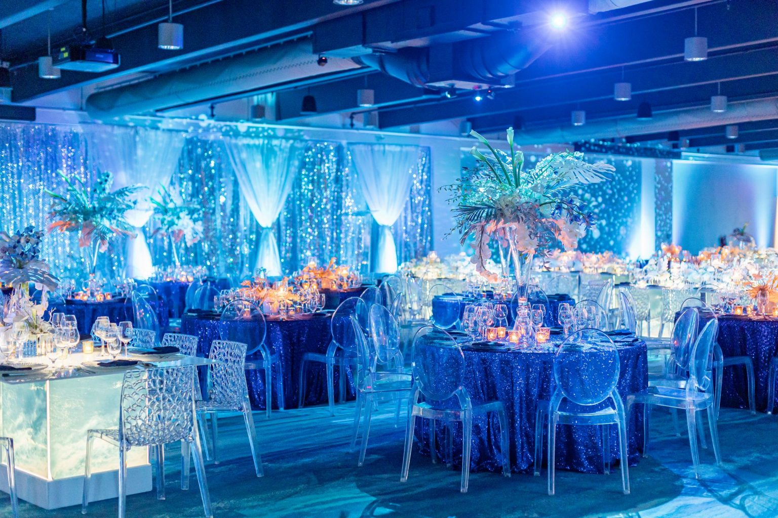 Host an Event | Weddings and Parties | Clearwater Marine Aquarium