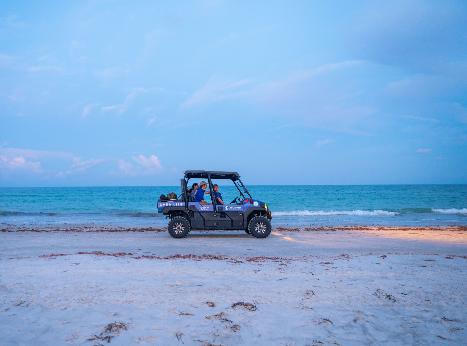 Sea Turtle Conservation Nesting Ride-Along - Clearwater Marine Aquarium