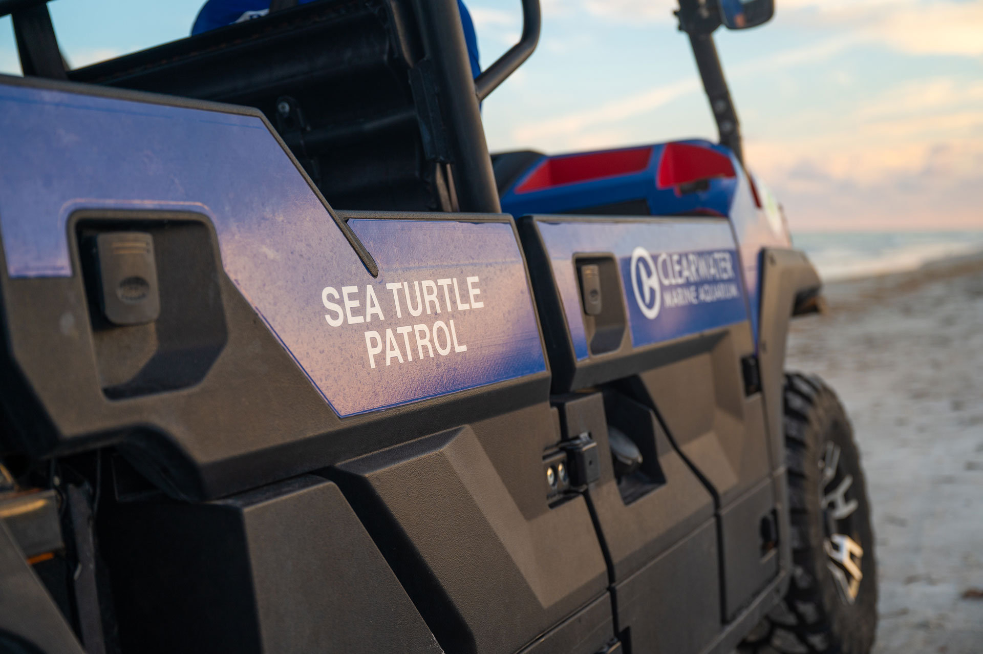 Sea Turtle Conservation Nesting Ride-Along - Clearwater Marine Aquarium